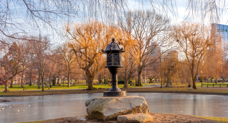 Best Places to See Fall Foliage in Boston and Cambridge | Freepoint Hotel